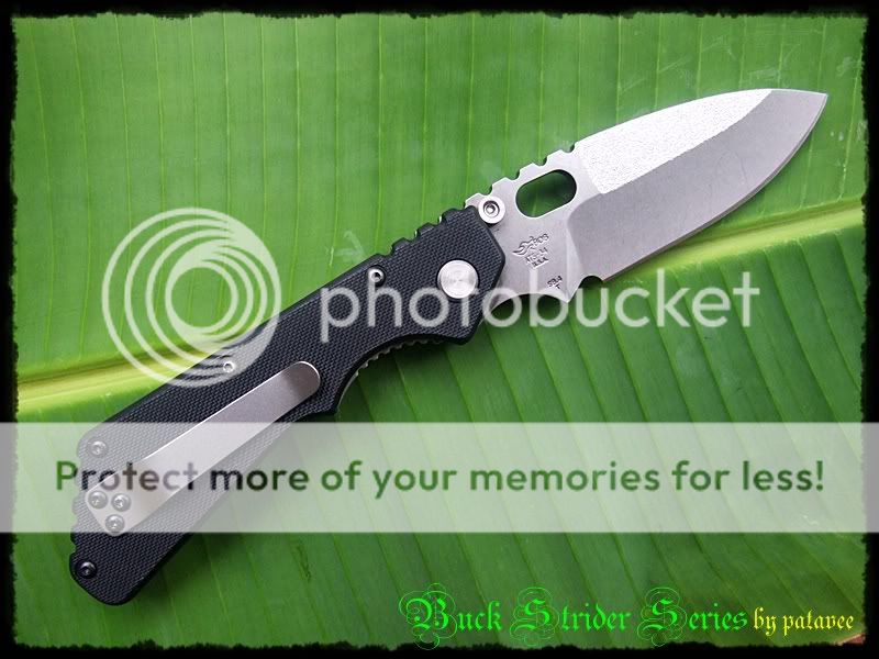 Official Buck Picture Thread | Page 57 | BladeForums.com