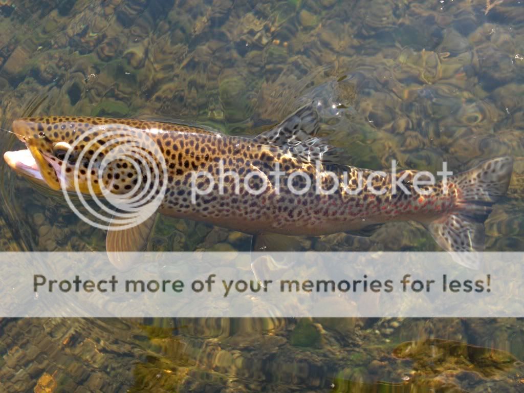 Taking A Different Point of View | Splashes With Fishes Blog