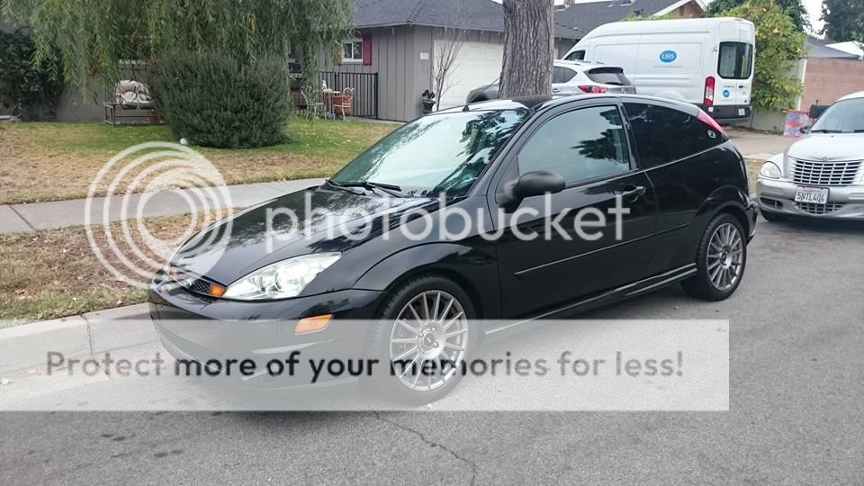 SVT just the beginning | Focus Fanatics Forum